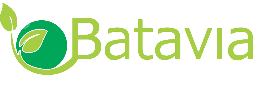 About – Batavia Team